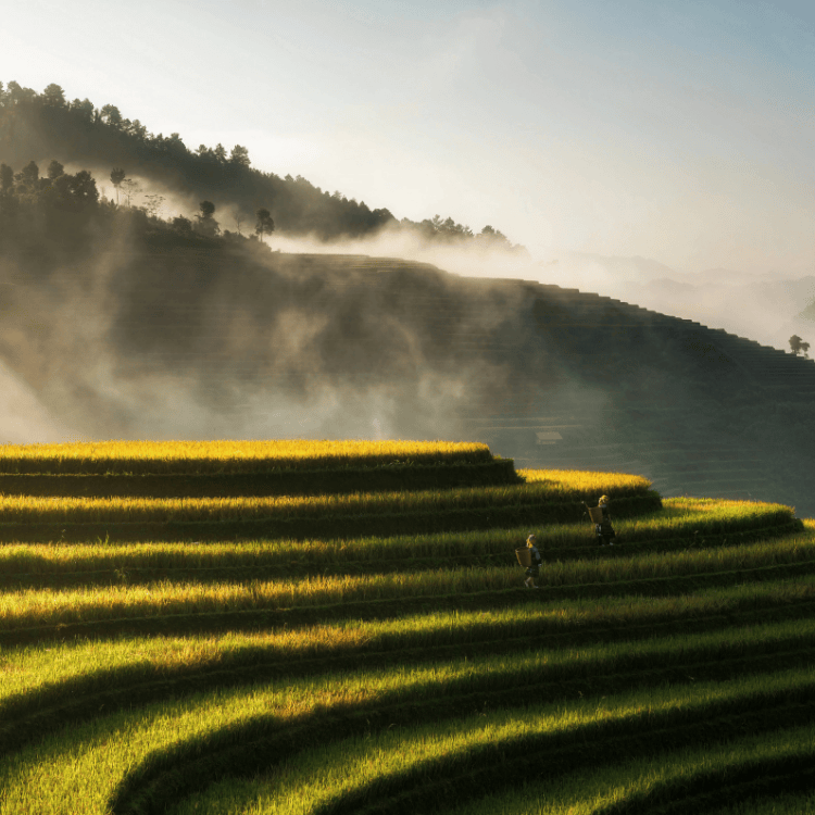 Supplier Enablement Process: Step by Step Framework